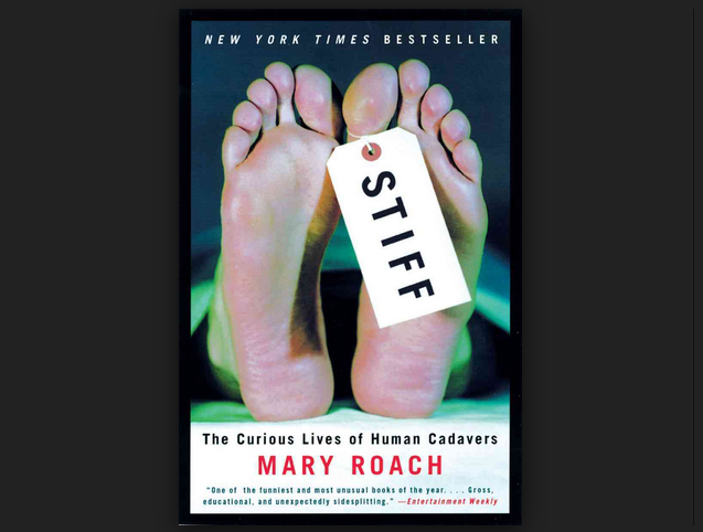 'Stiff' and My Walk to Work | The Second Lunch