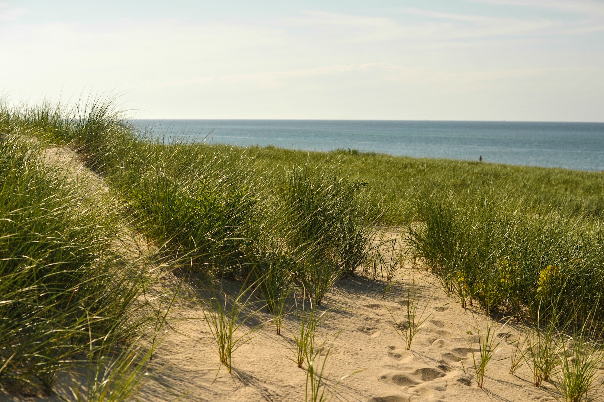 Race Point Beach | The Second Lunch