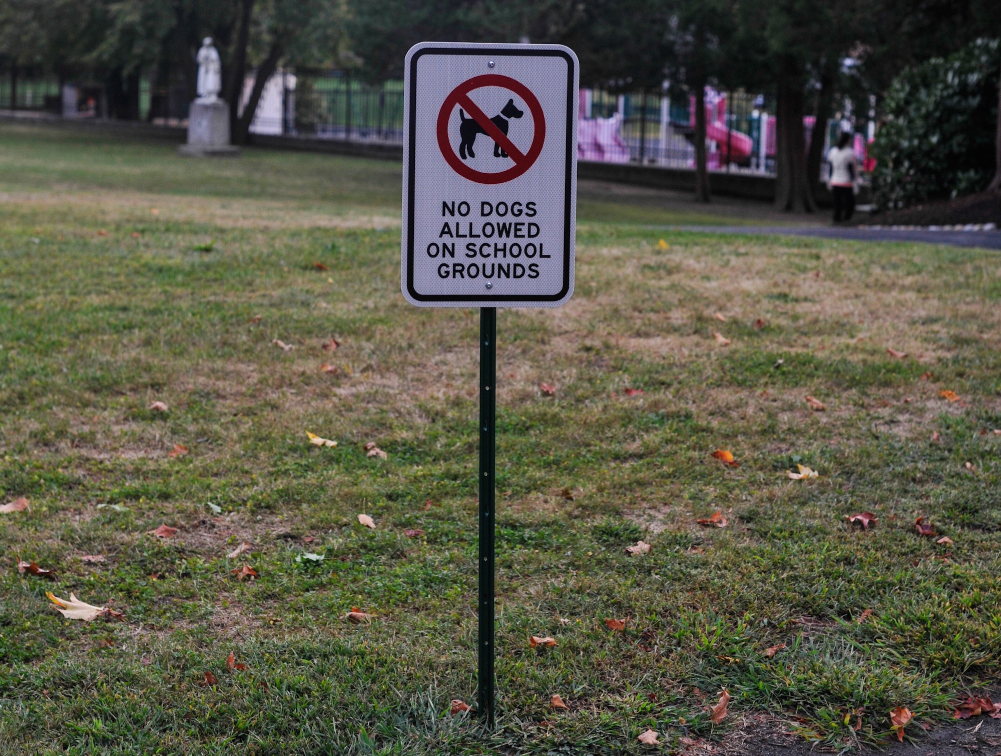 Stuffed flounder, green juice, coaching and light hunting. | The Second ...