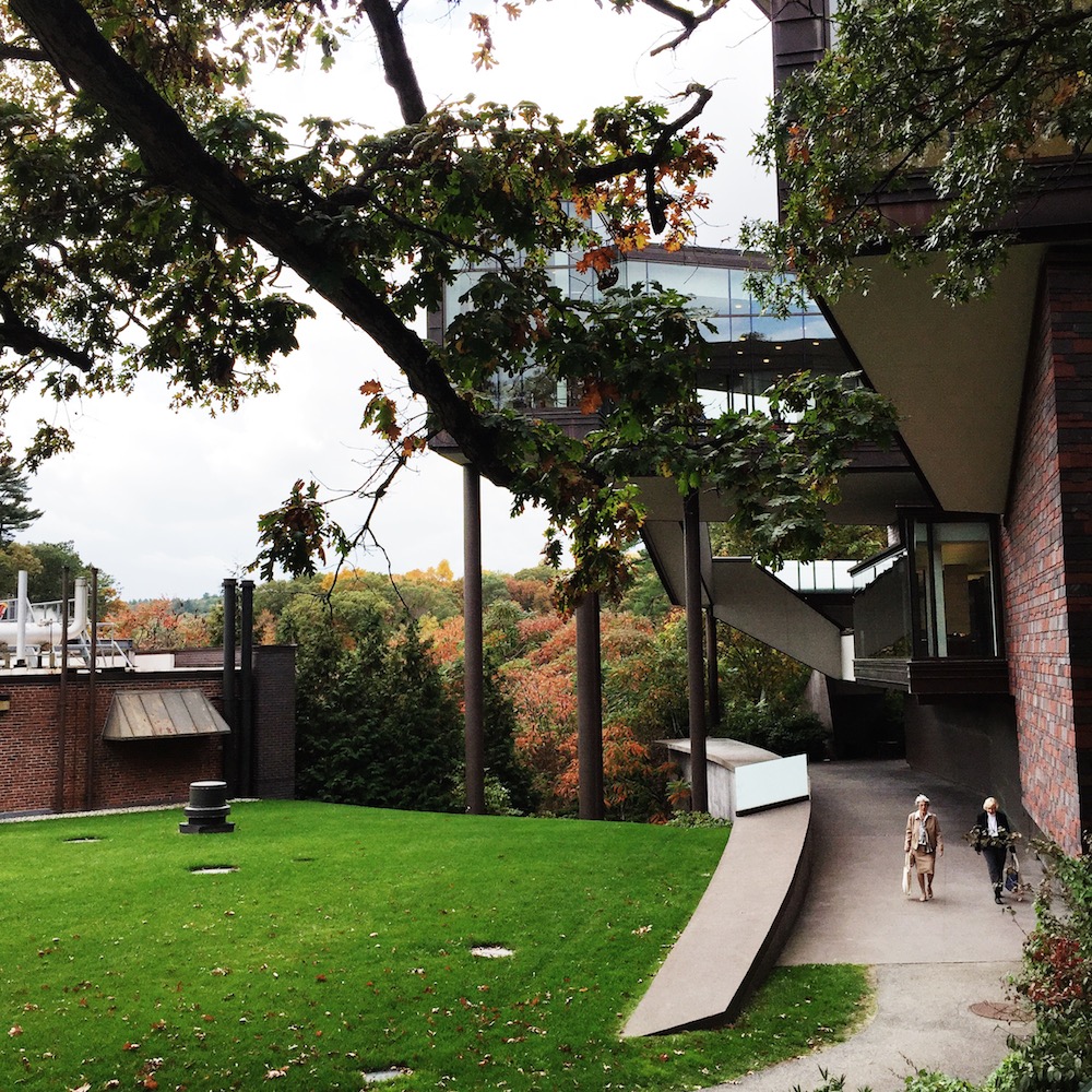 {Fall at Wellesley College} | The Second Lunch