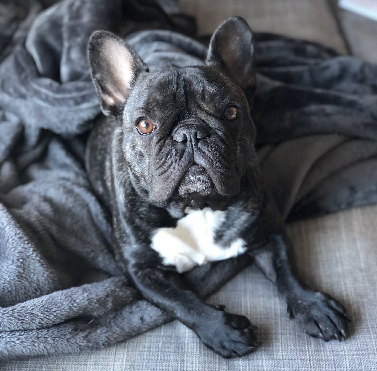 Good Things: 2019 Week 5 | The Second Lunch